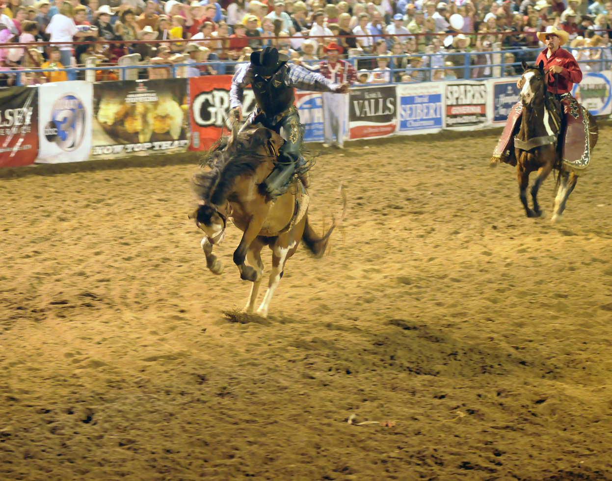 28th annual Sheriff’s Rodeo one of biggest in event’s history | Athens ...