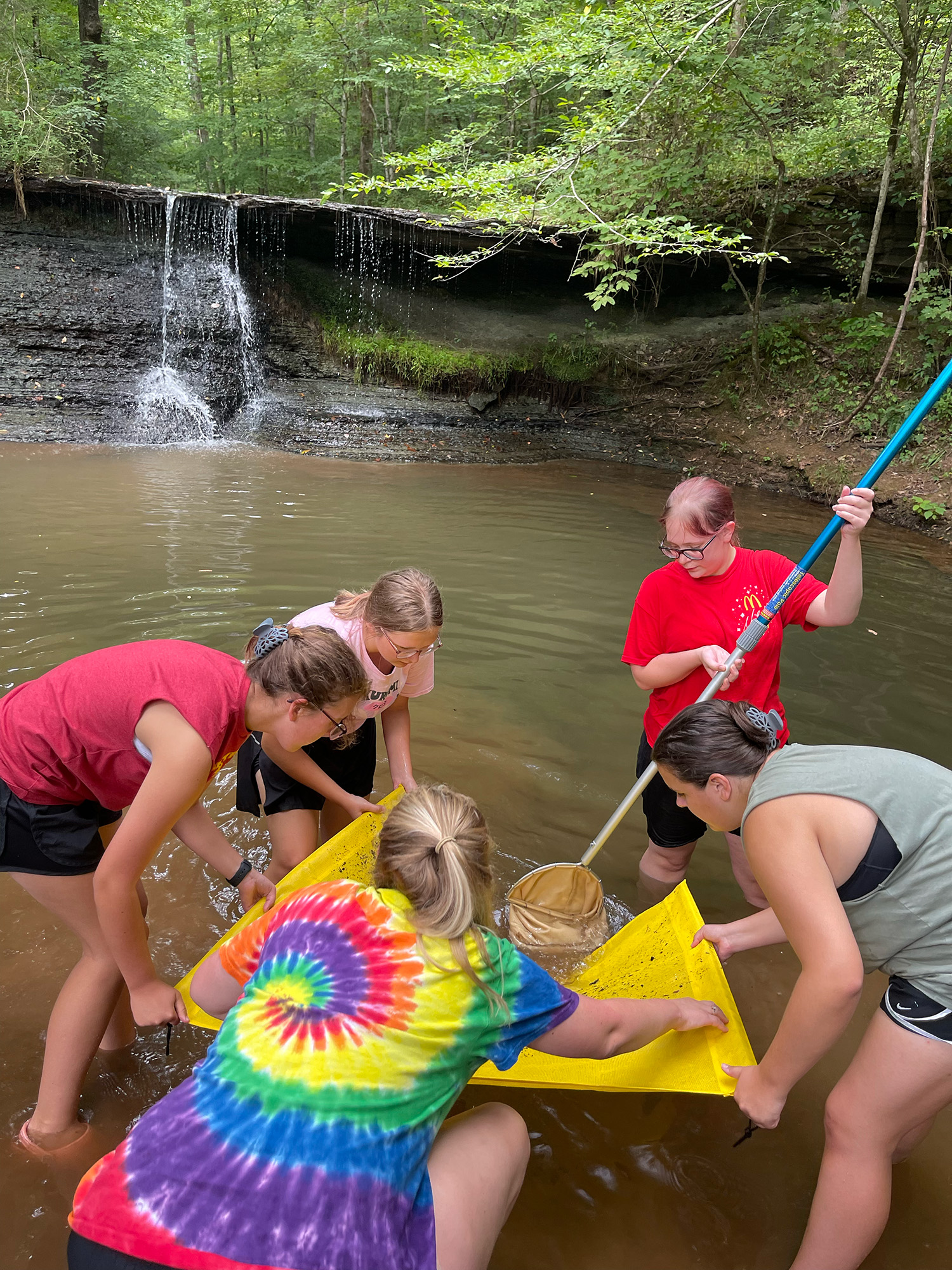 Ardmore High School naturalist studies awarded project of the year ...