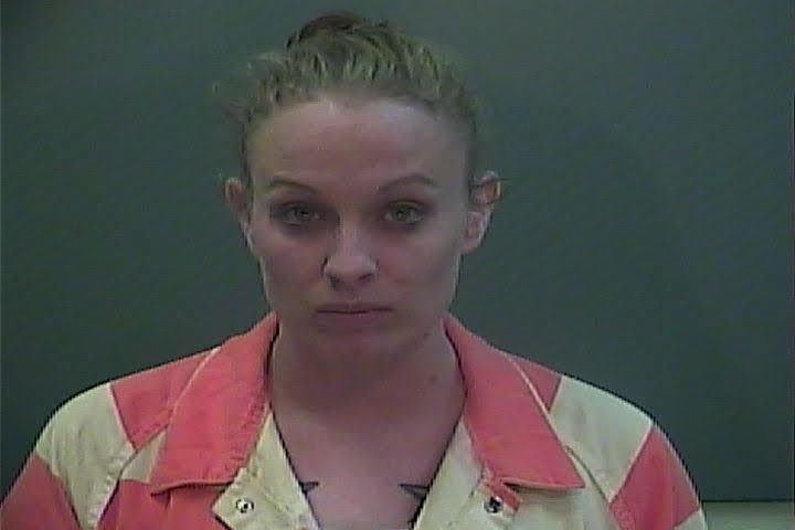 Deputies make arrests in meth case, search for third suspect | Athens ...