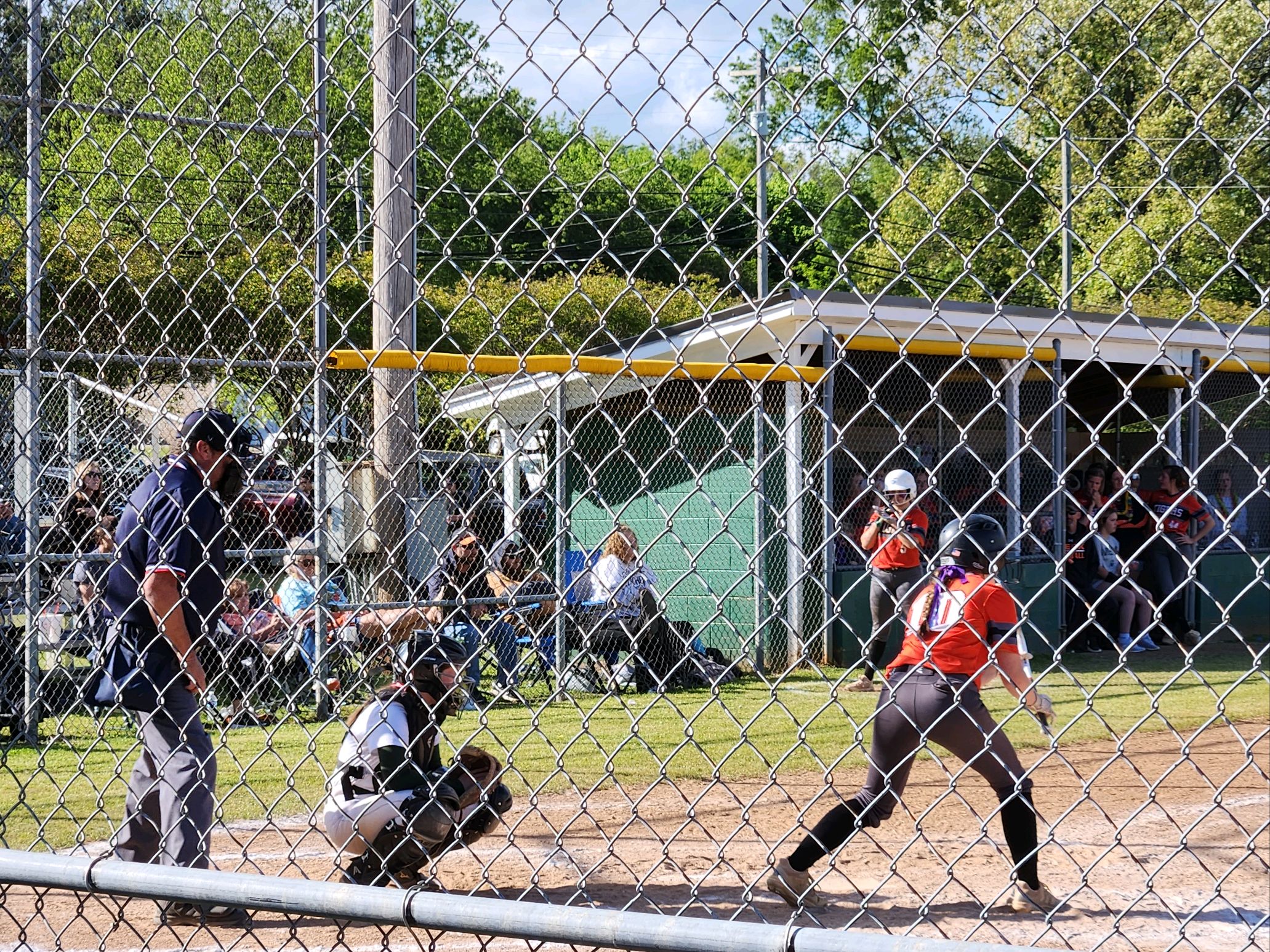 Athens-Limestone area softball tournament results | Athens The News Courier