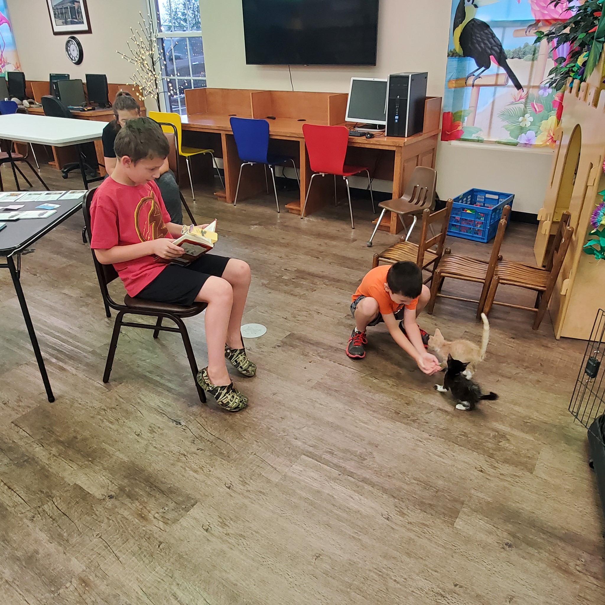 Tails and tales abound at Ardmore Public Library | Athens The News Courier