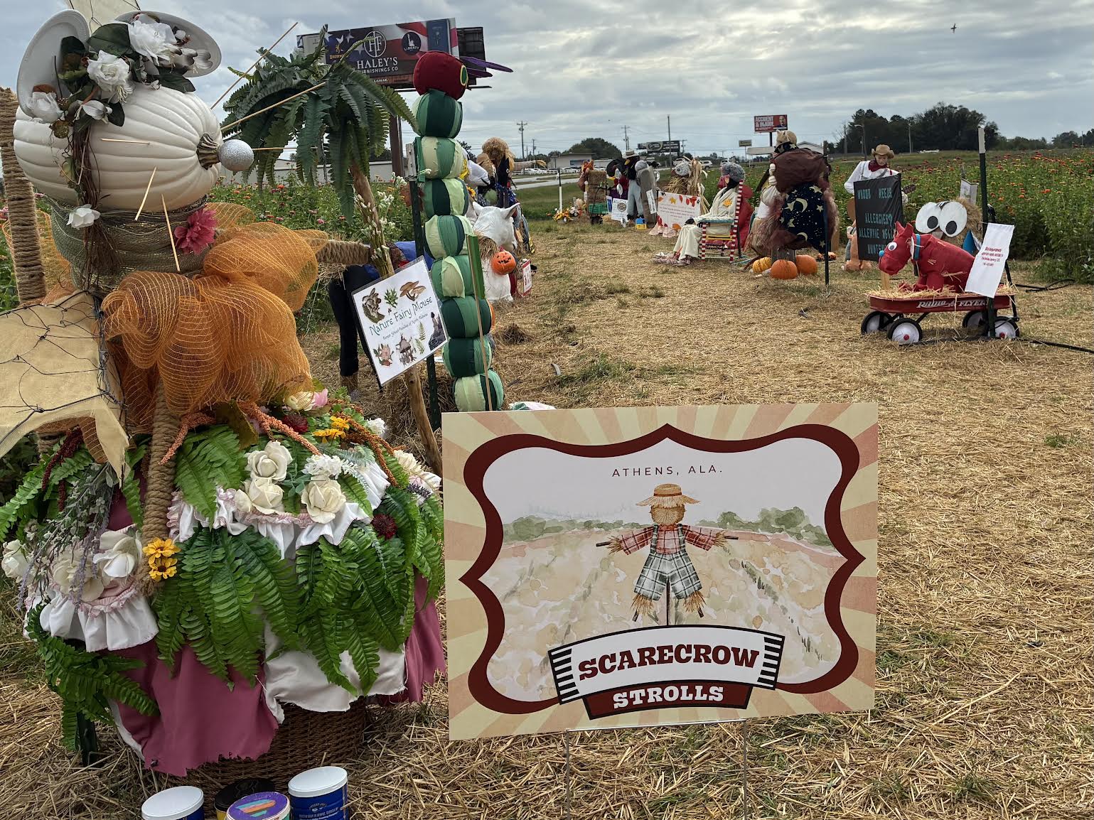 Athens in autumn: City invites public along for ‘Scarecrow Strolls ...