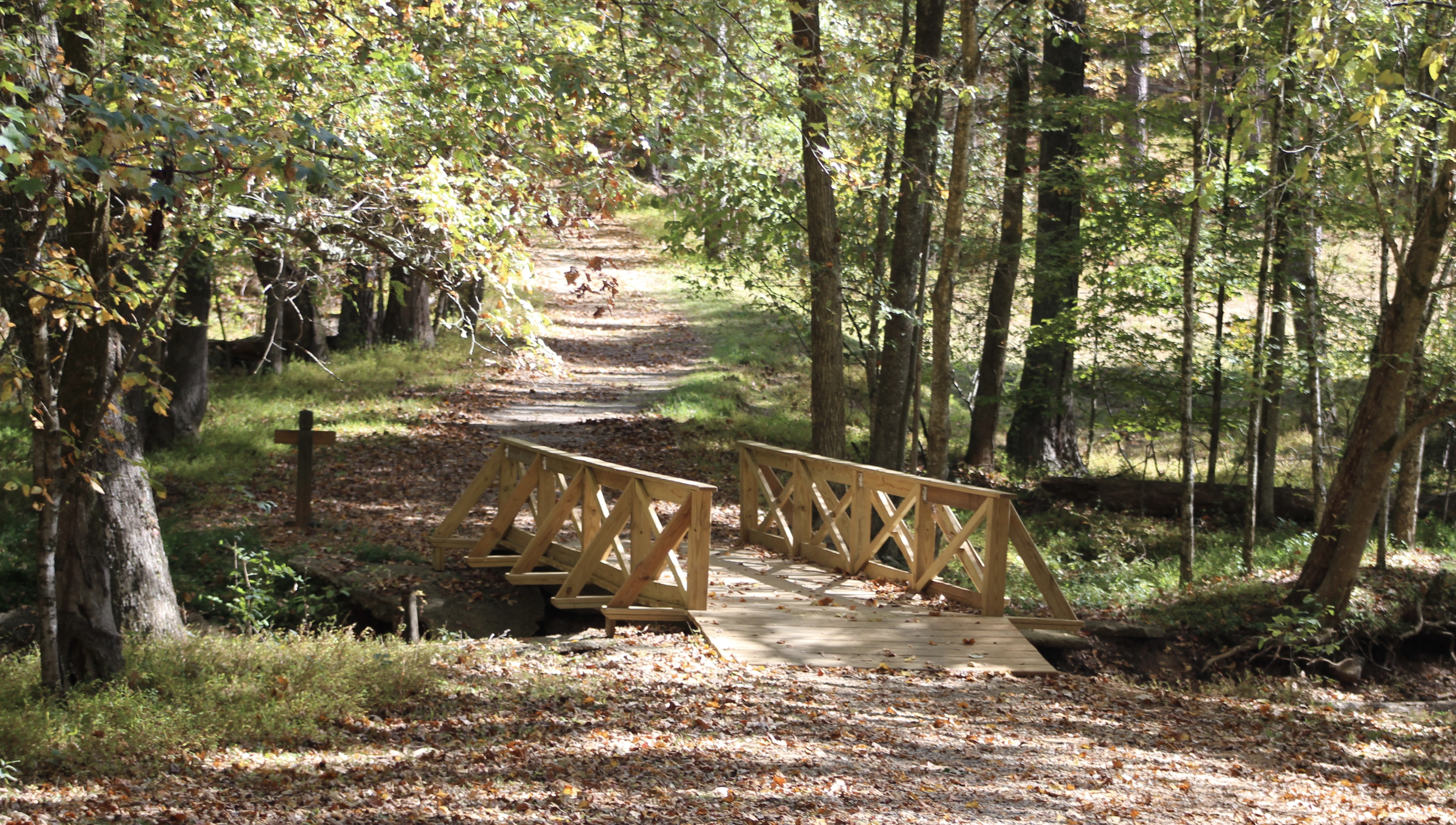 Joe Wheeler New Year’s Eve celebration rings in ‘First Day Hikes ...